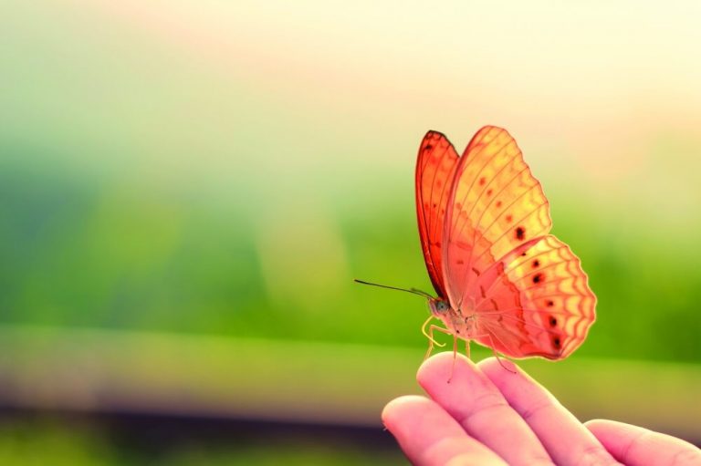 25 Frases Que Inspiram - As Melhores